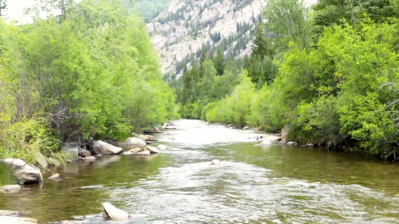 Chalk Creek - Angler's Covey